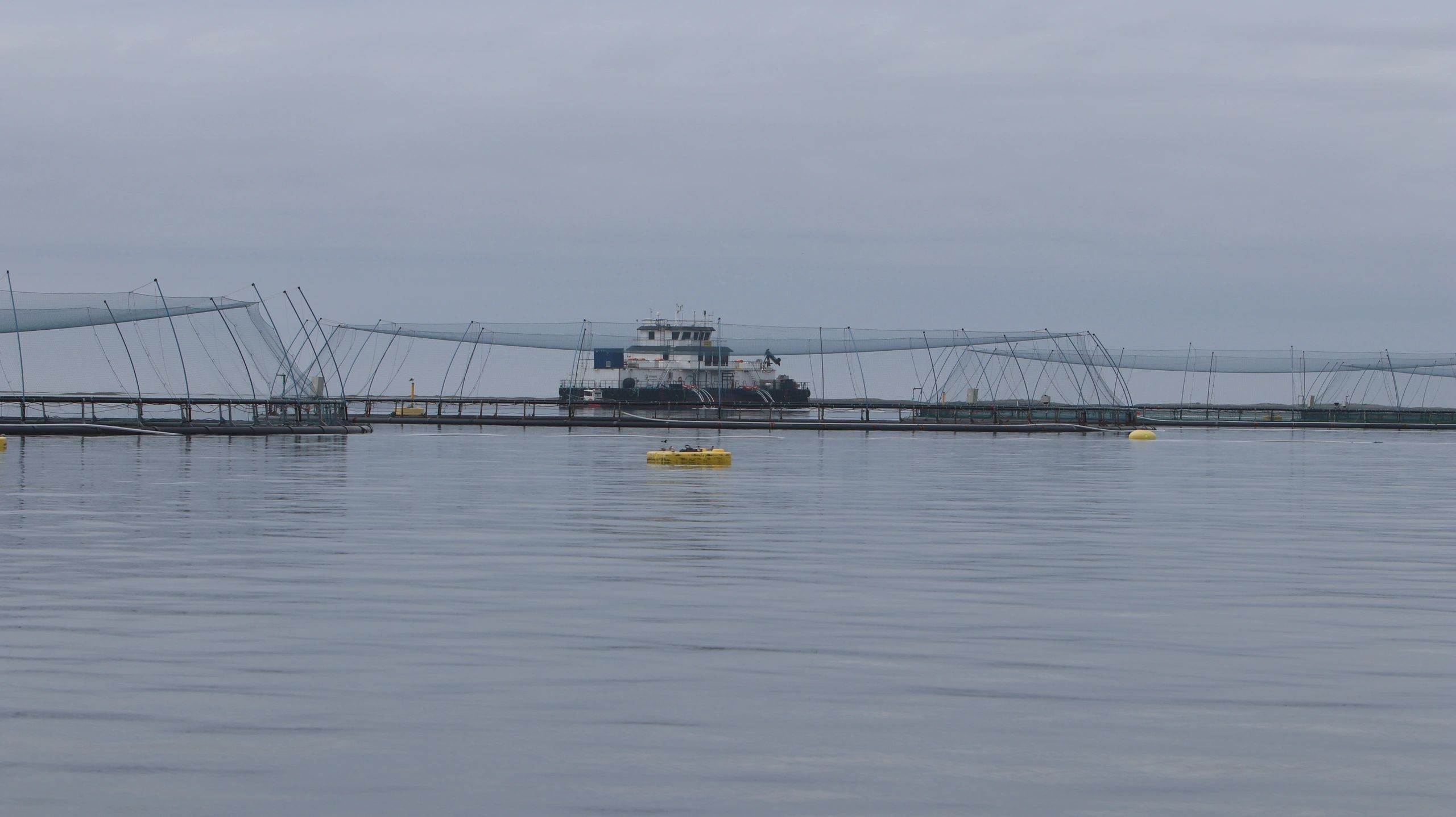 Nytek - Nytek & NS9415